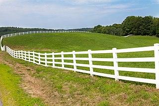 Choosing The Right Horse Paddock Fencing – Paddock Blade United Kingdom