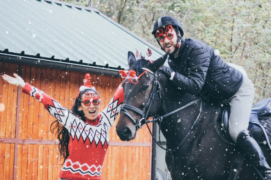 The Top 10 Gifts for Horsey People in 2024 – Paddock Blade United Kingdom